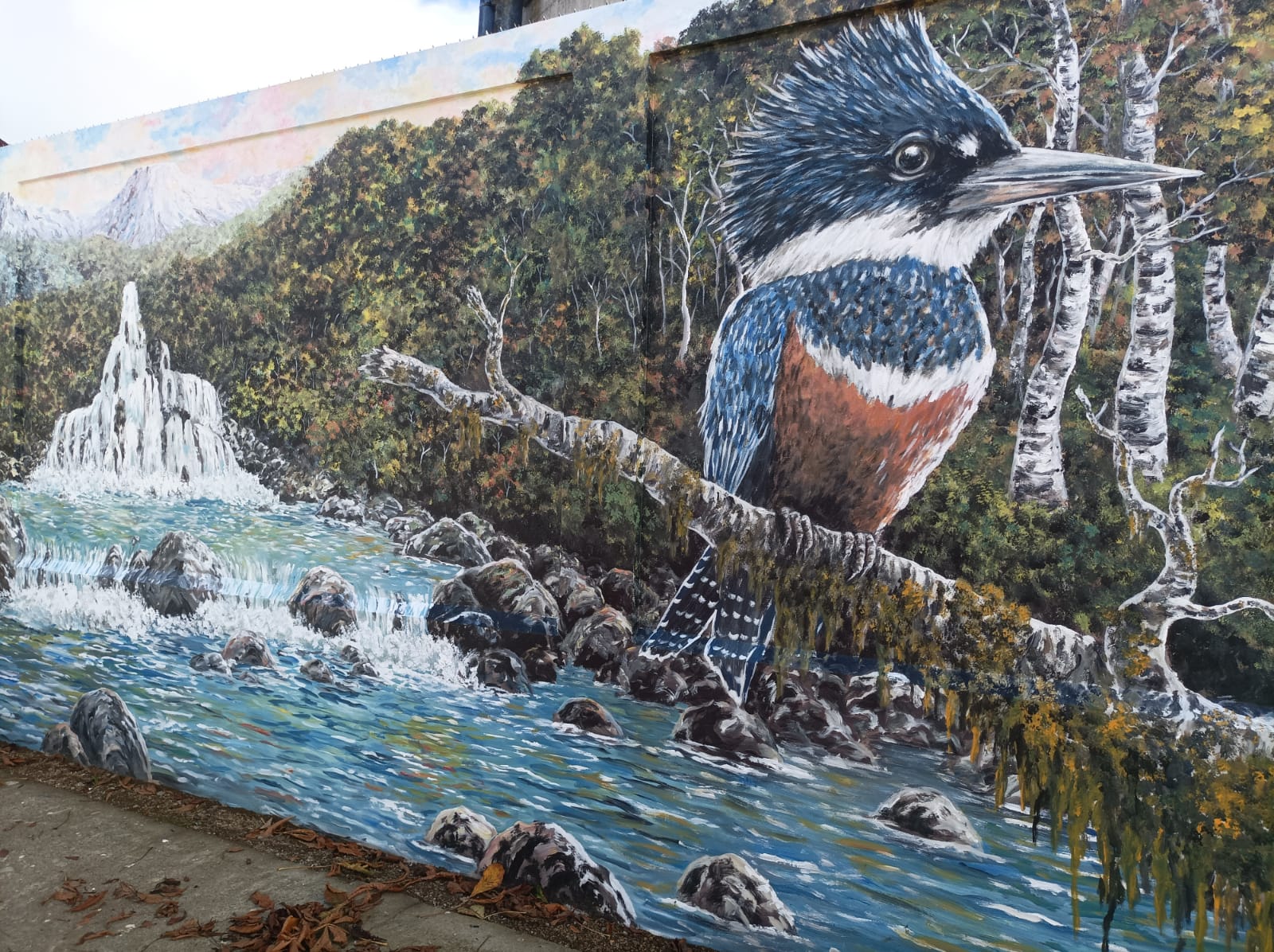 Aguasdecima S.A. - Aguas Décima y artista Leonel Torres dan vida a ...